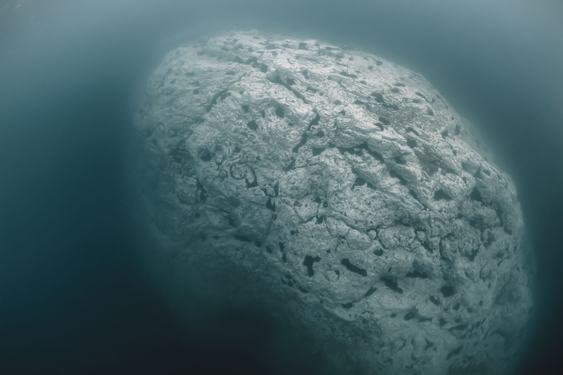 Bajo del Monstruo - Fundación Malpelo