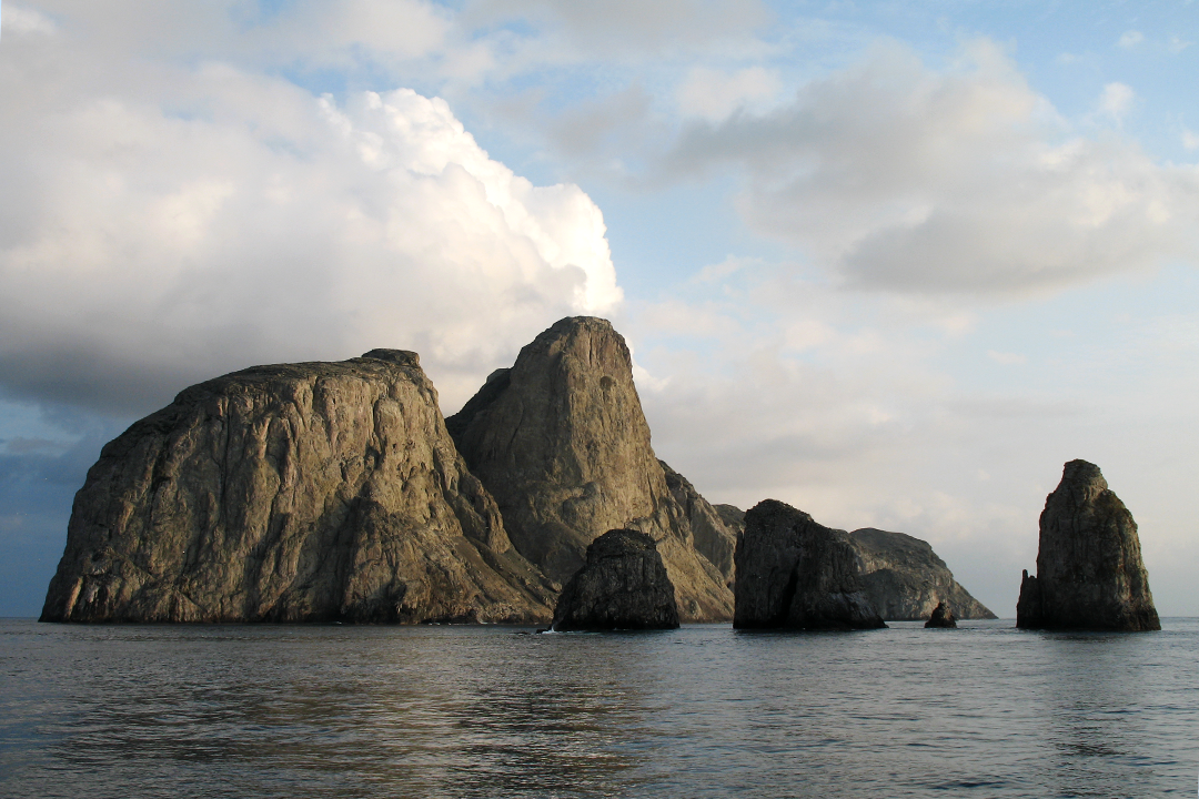 El corredor migratorio que protege la vida marina entre Colombia y ...