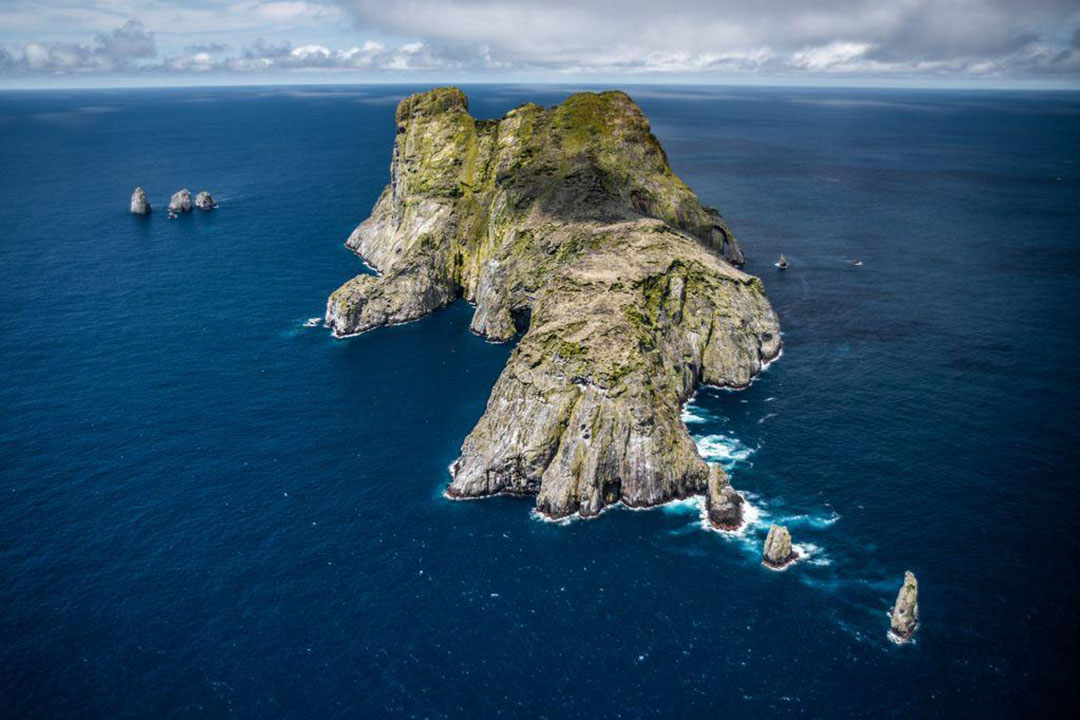 Colombia: las expediciones a los montes submarinos de Malpelo para ...