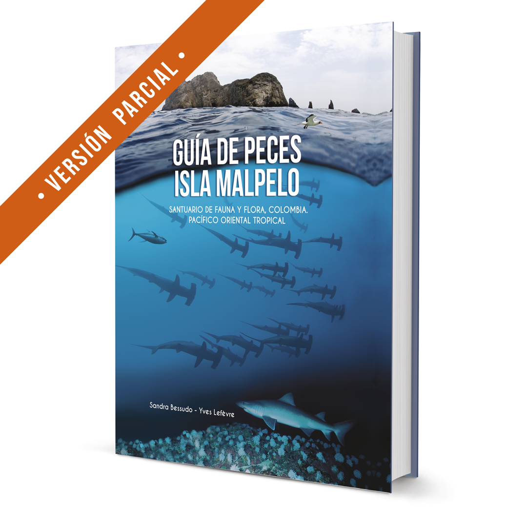 Fundación Malpelo y Otros Ecosistemas Marinos