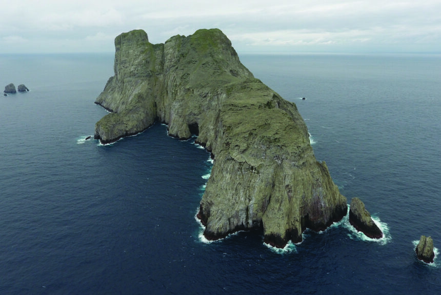 COP16 - Fundación Malpelo